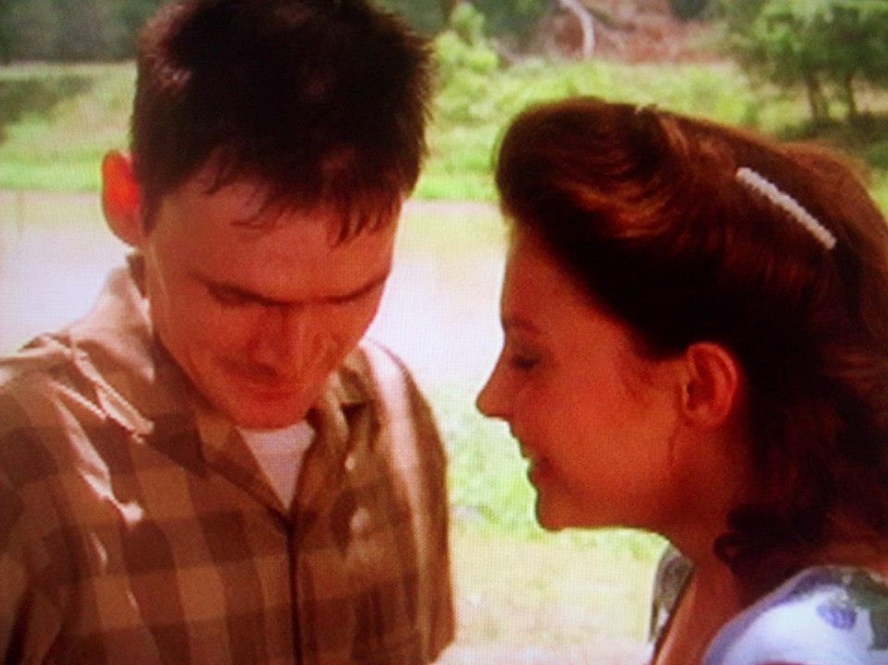 Picture of The Locusts