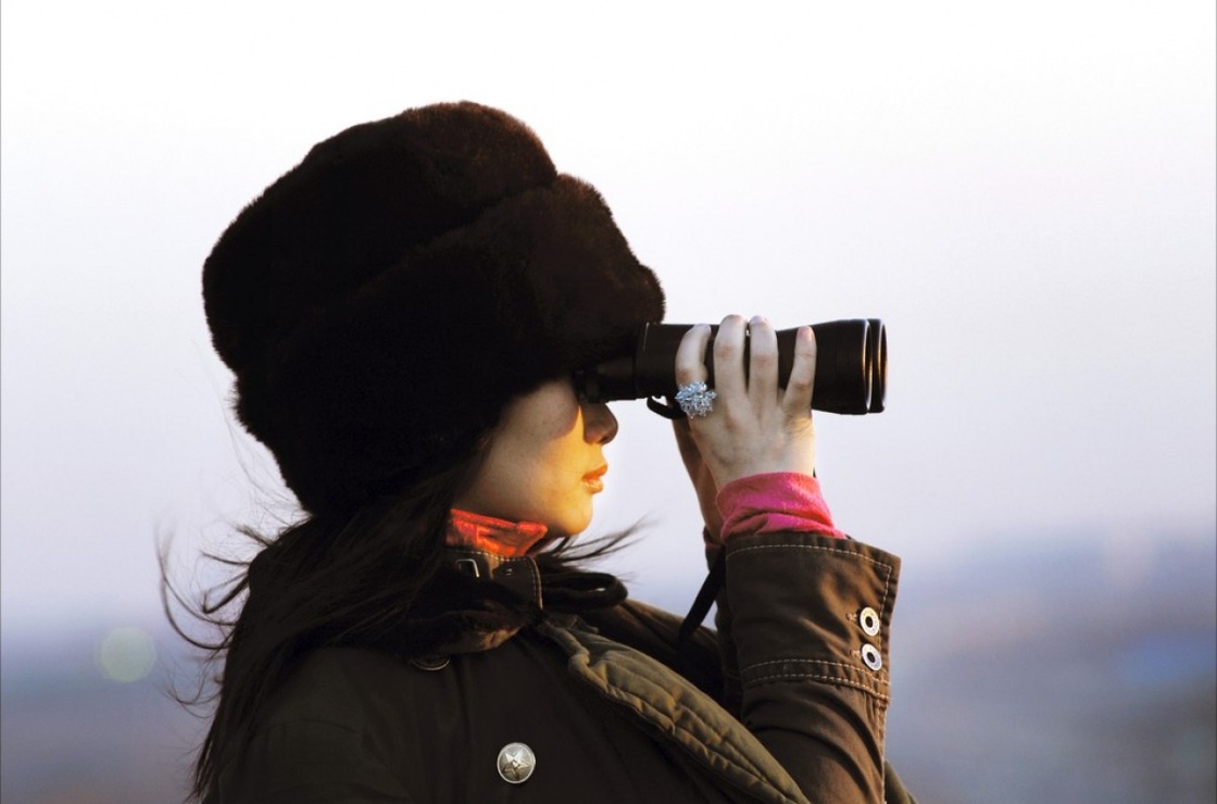 The World (2004) image