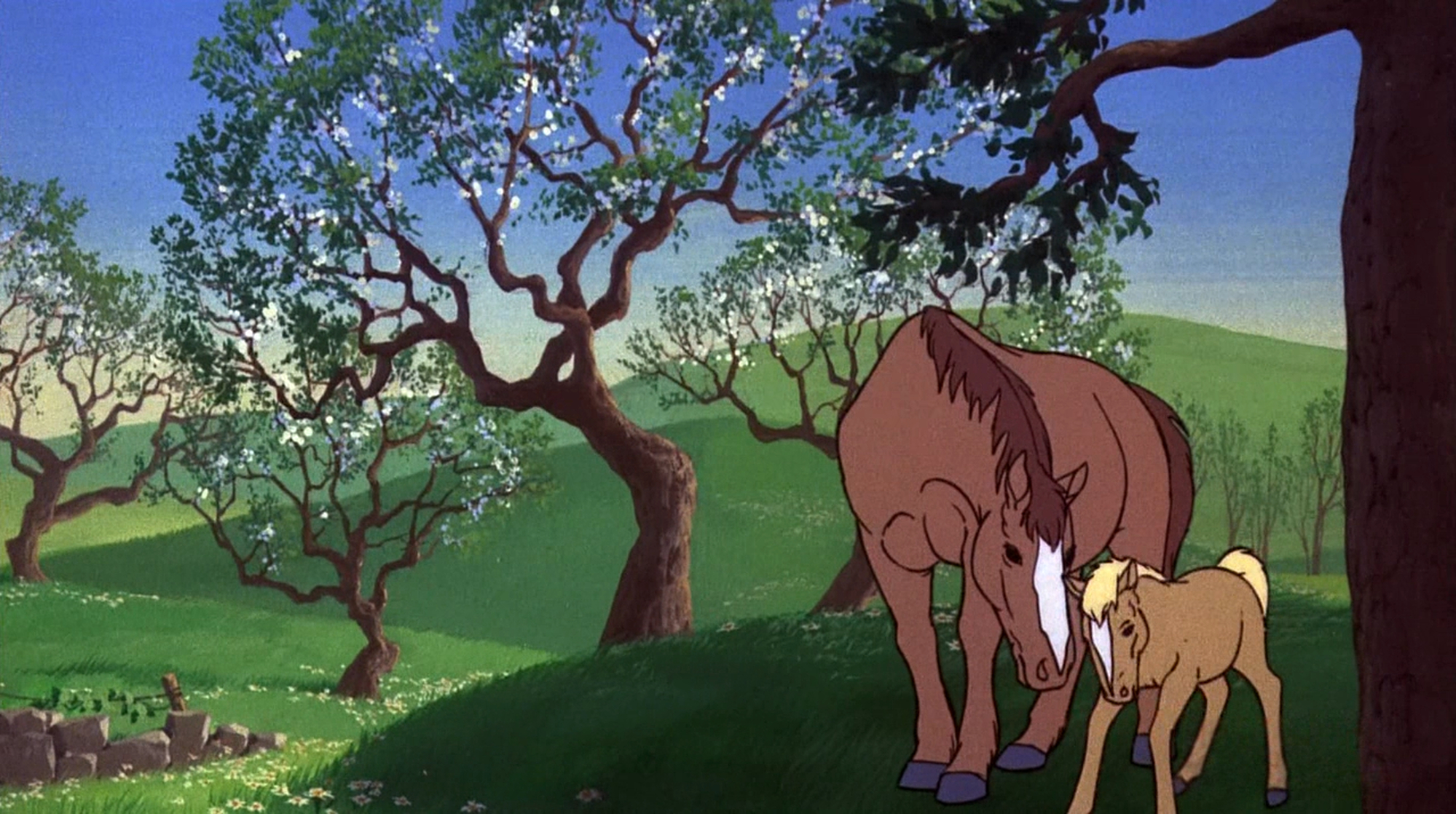 Picture of Charlotte's Web