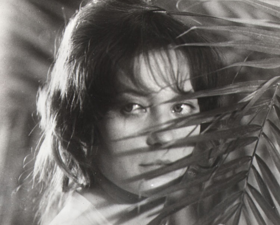 Picture of The Story of Sin (1975)