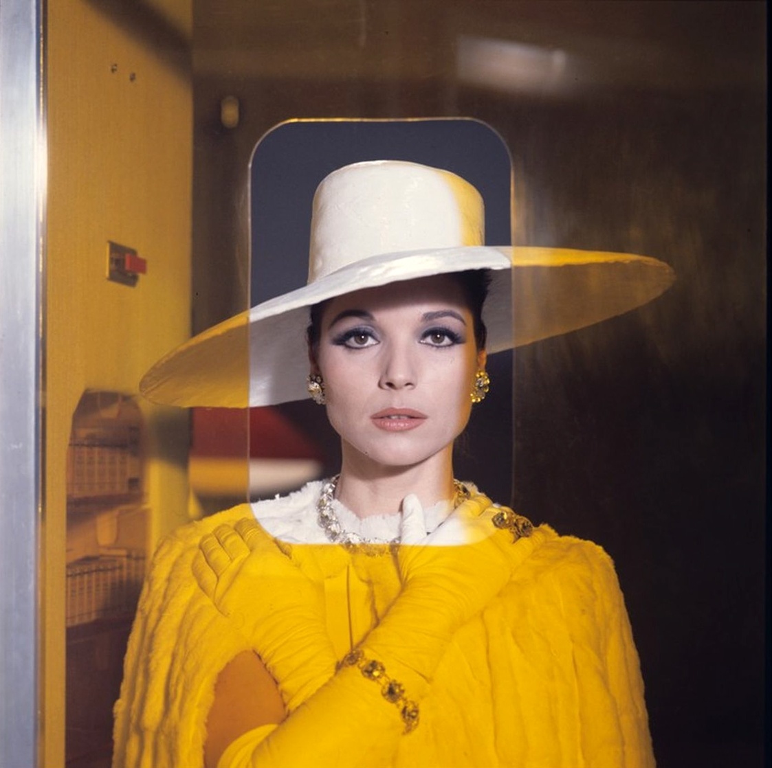 Picture of Elsa Martinelli