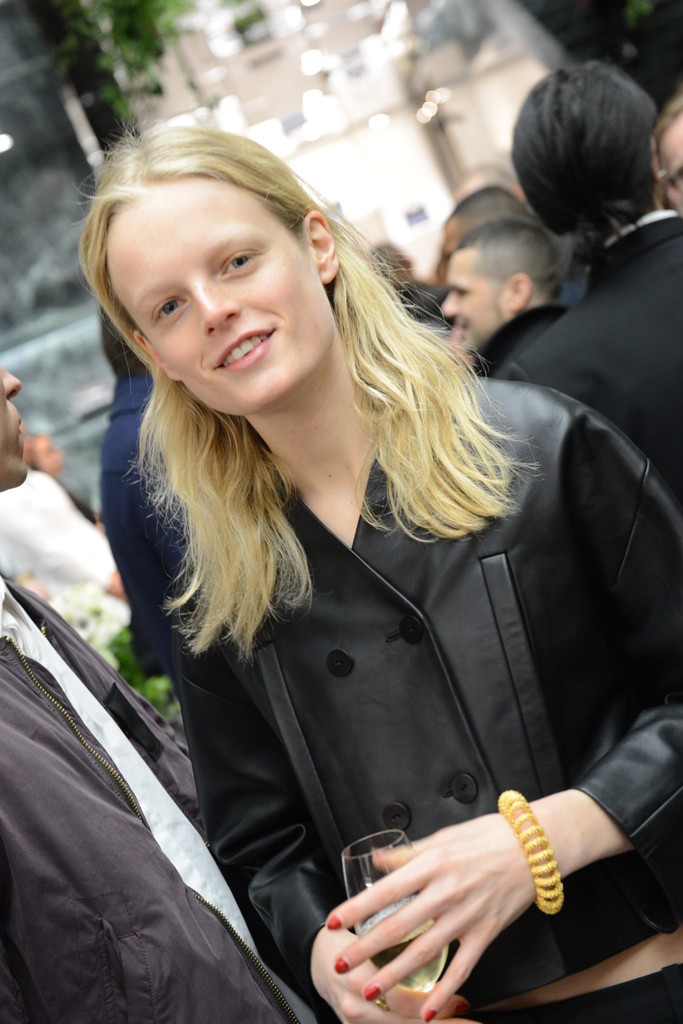 Picture of Hanne Gaby Odiele