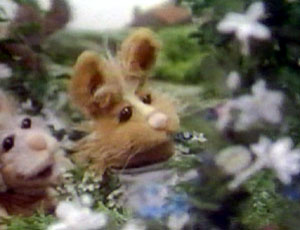 Picture of The Tale of the Bunny Picnic