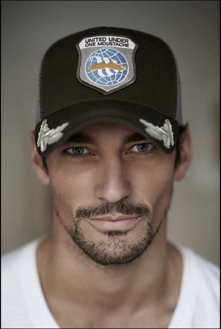 Picture of David Gandy