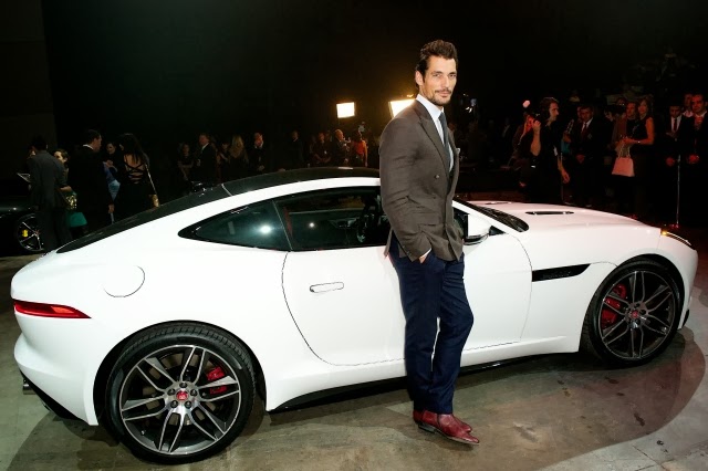 Picture of David Gandy