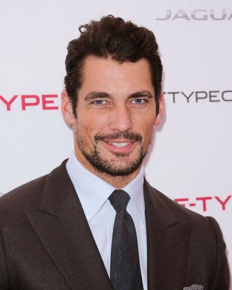 David Gandy image