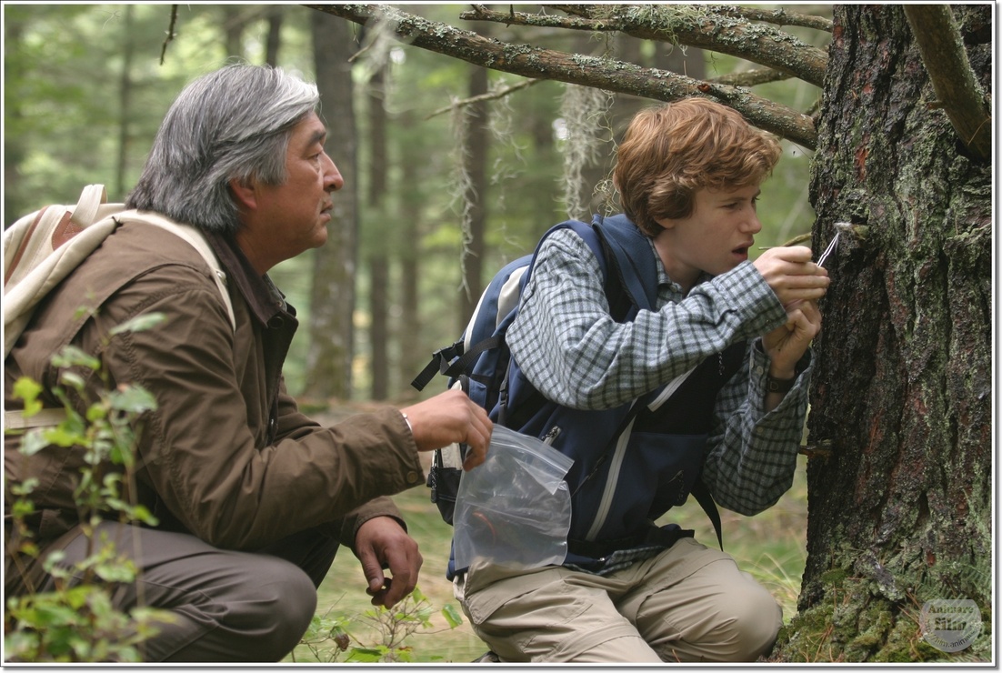 Picture of Spirit Bear: The Simon Jackson Story