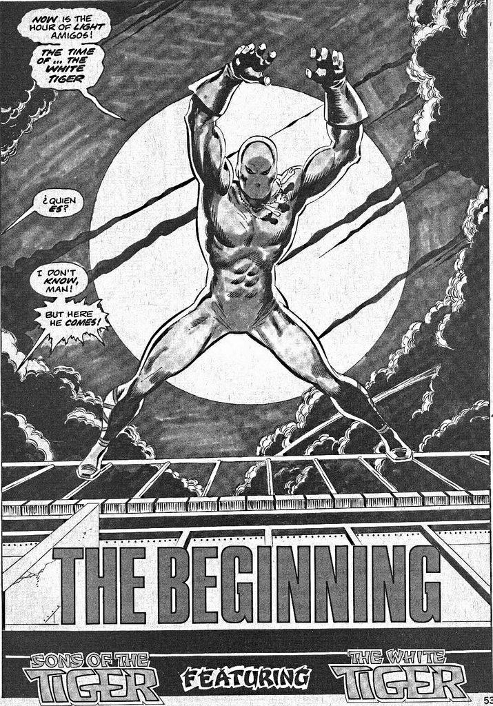 White Tiger (Marvel) image