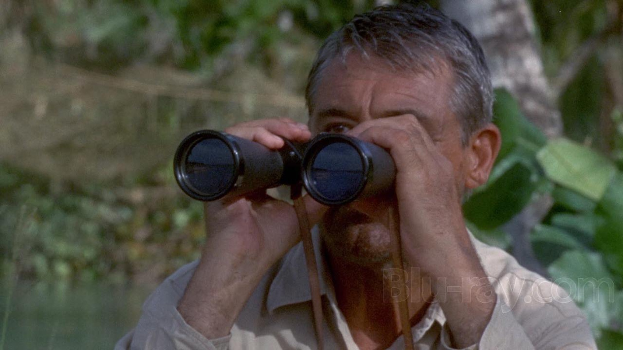 Picture of Father Goose