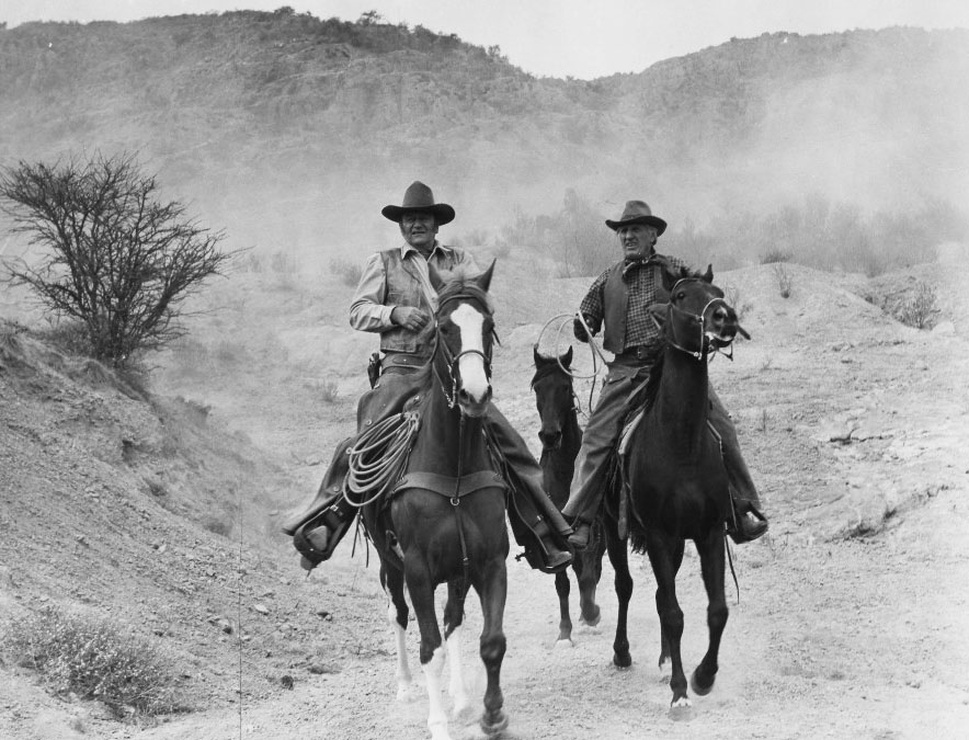 Picture of The Undefeated