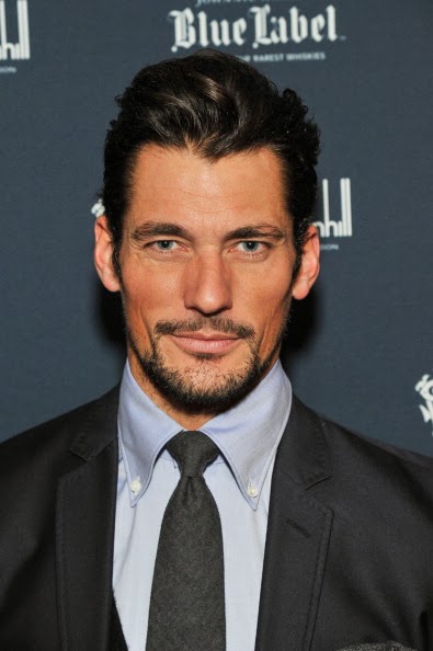 Picture of David Gandy