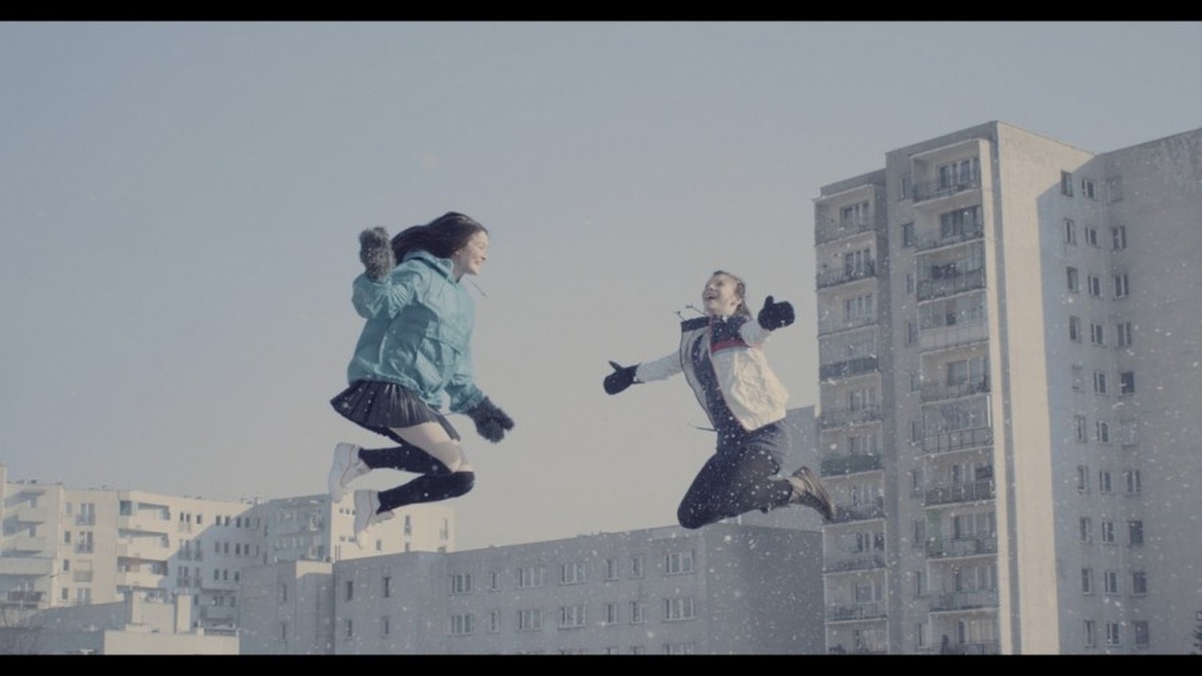 Picture of Brother Dog