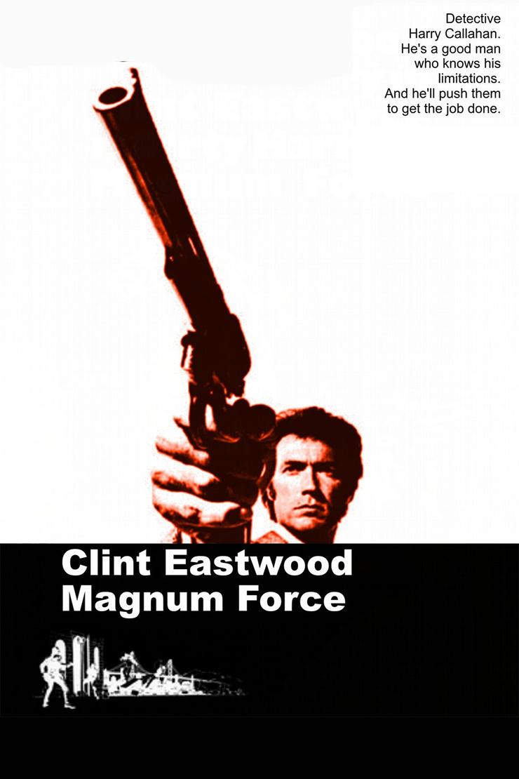 Picture of Magnum Force