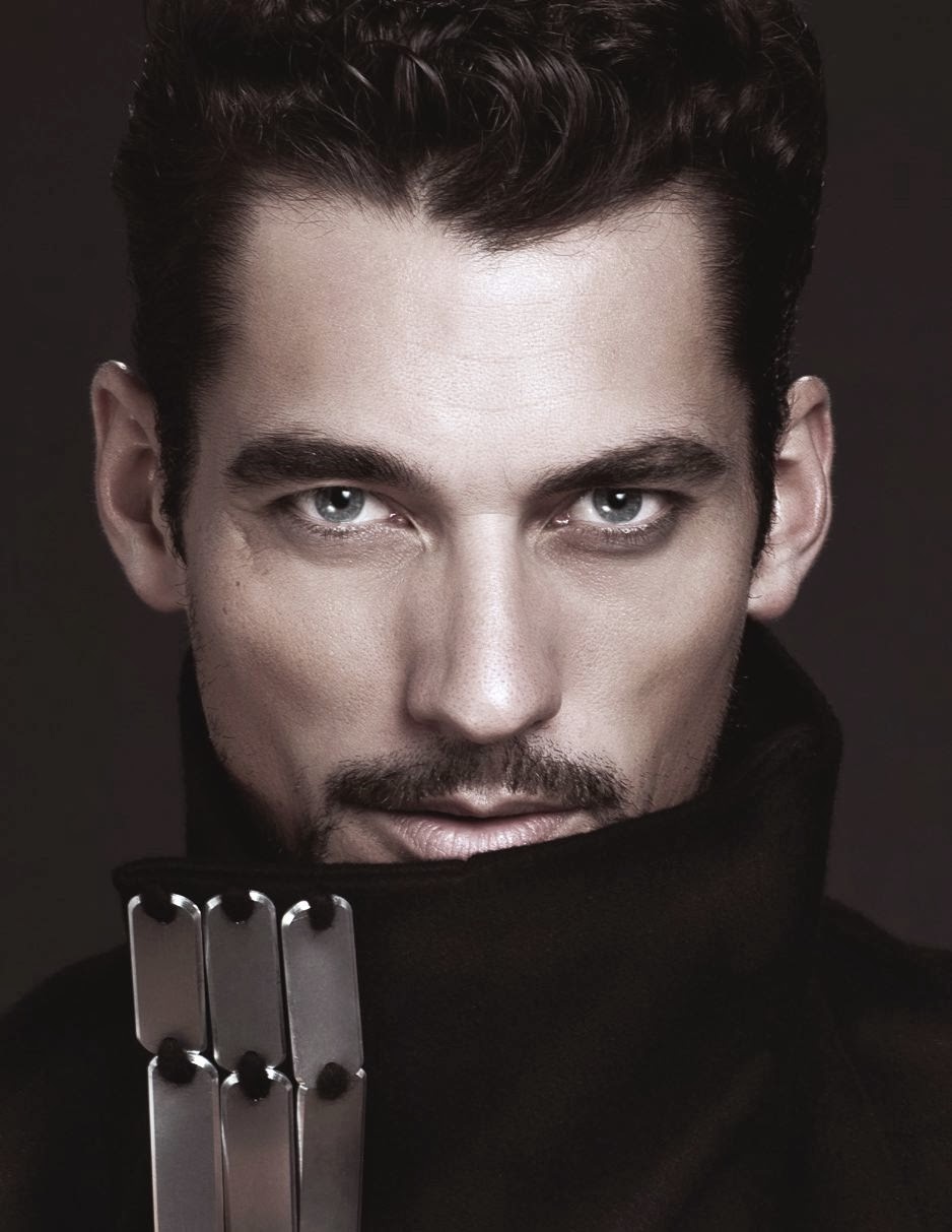 Picture of David Gandy