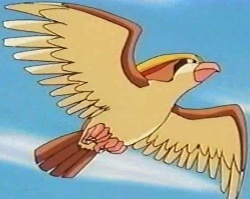Pidgeot picture