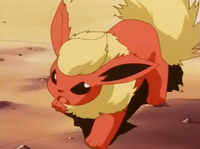 Picture of Flareon
