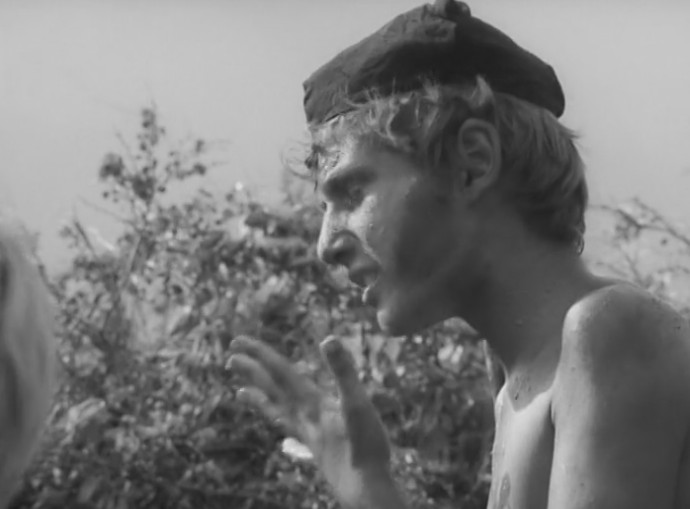 Picture of Tom Chapin