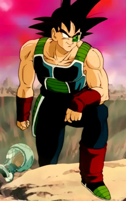 Bardock image