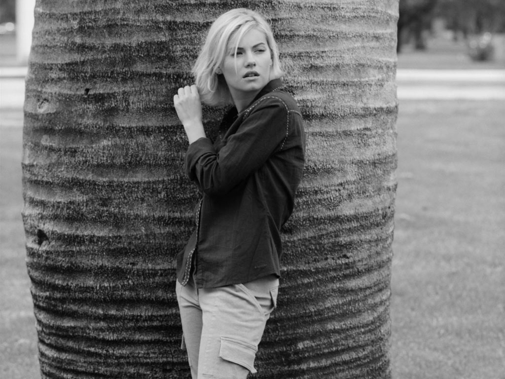 Elisha Cuthbert picture