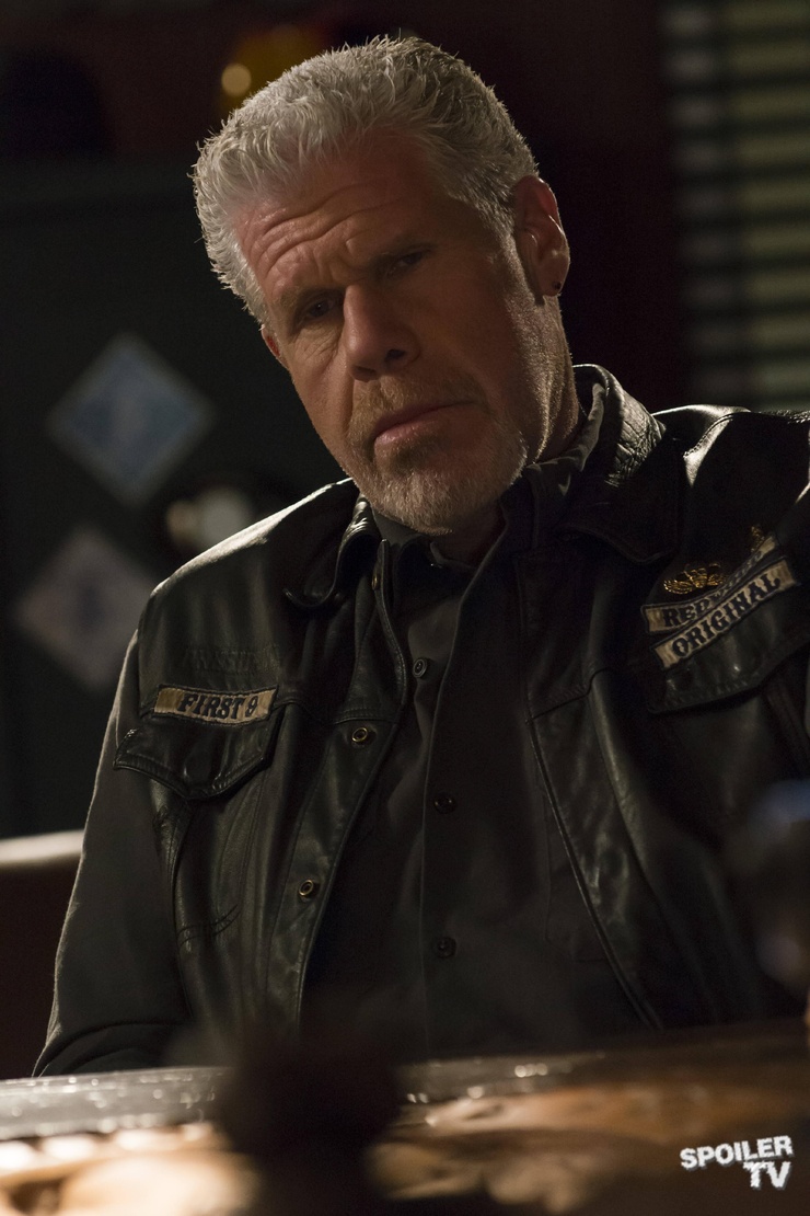 Ron Perlman image