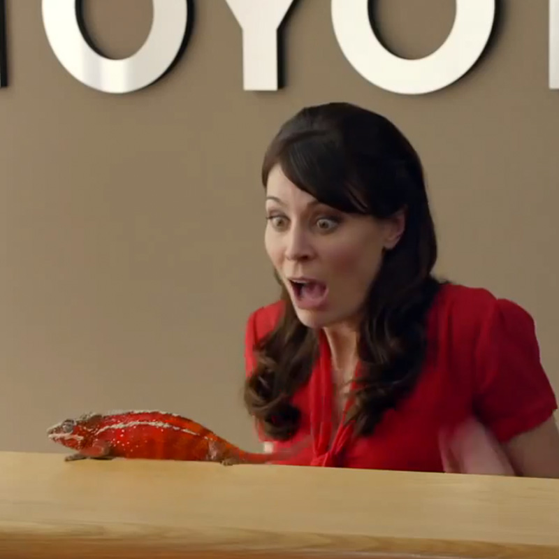 Picture of Laurel Coppock