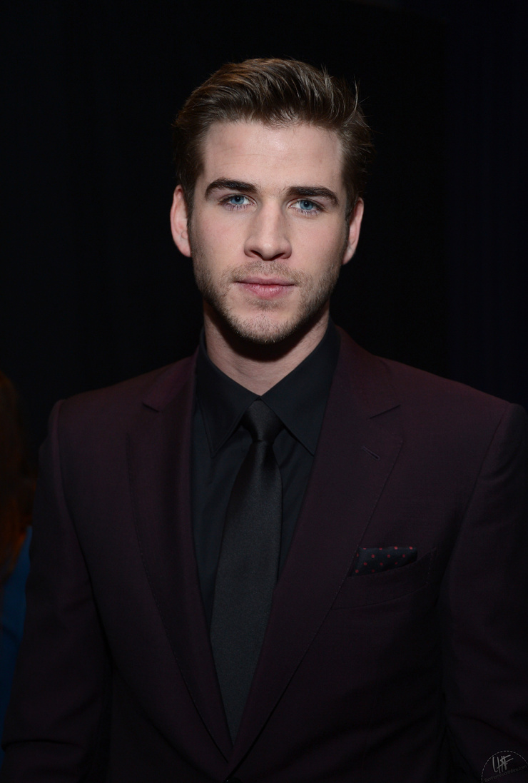 Picture of Liam Hemsworth