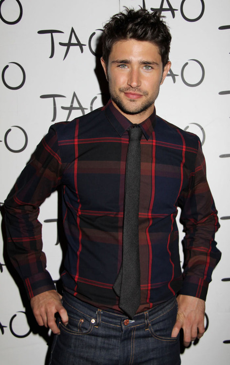 Picture of Matt Dallas