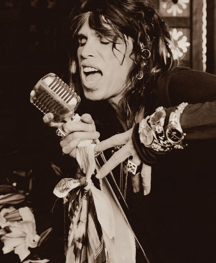 Picture of Steven Tyler