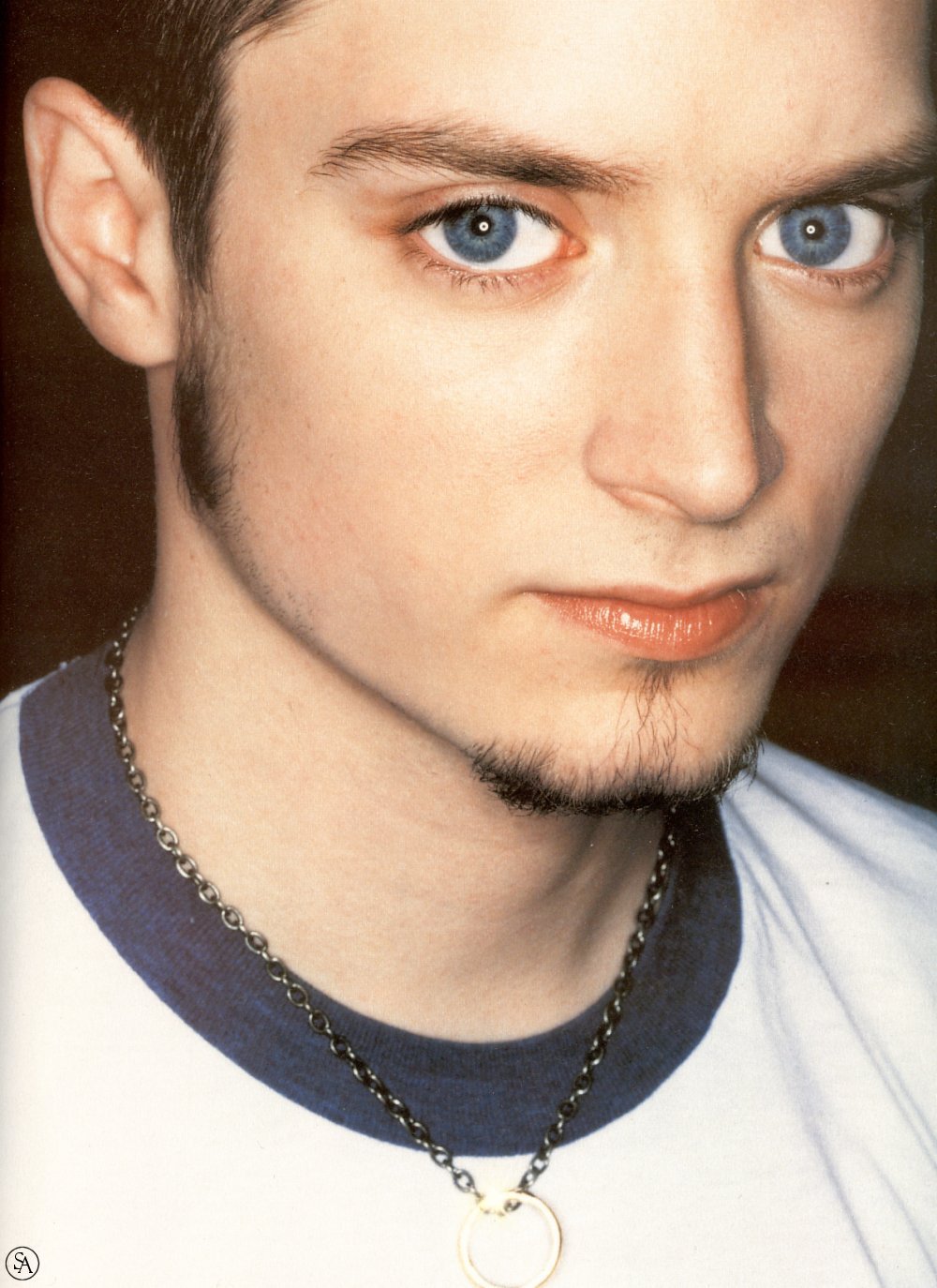 Picture of Elijah Wood