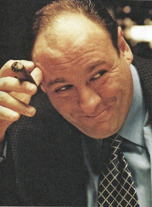Picture of Tony Soprano