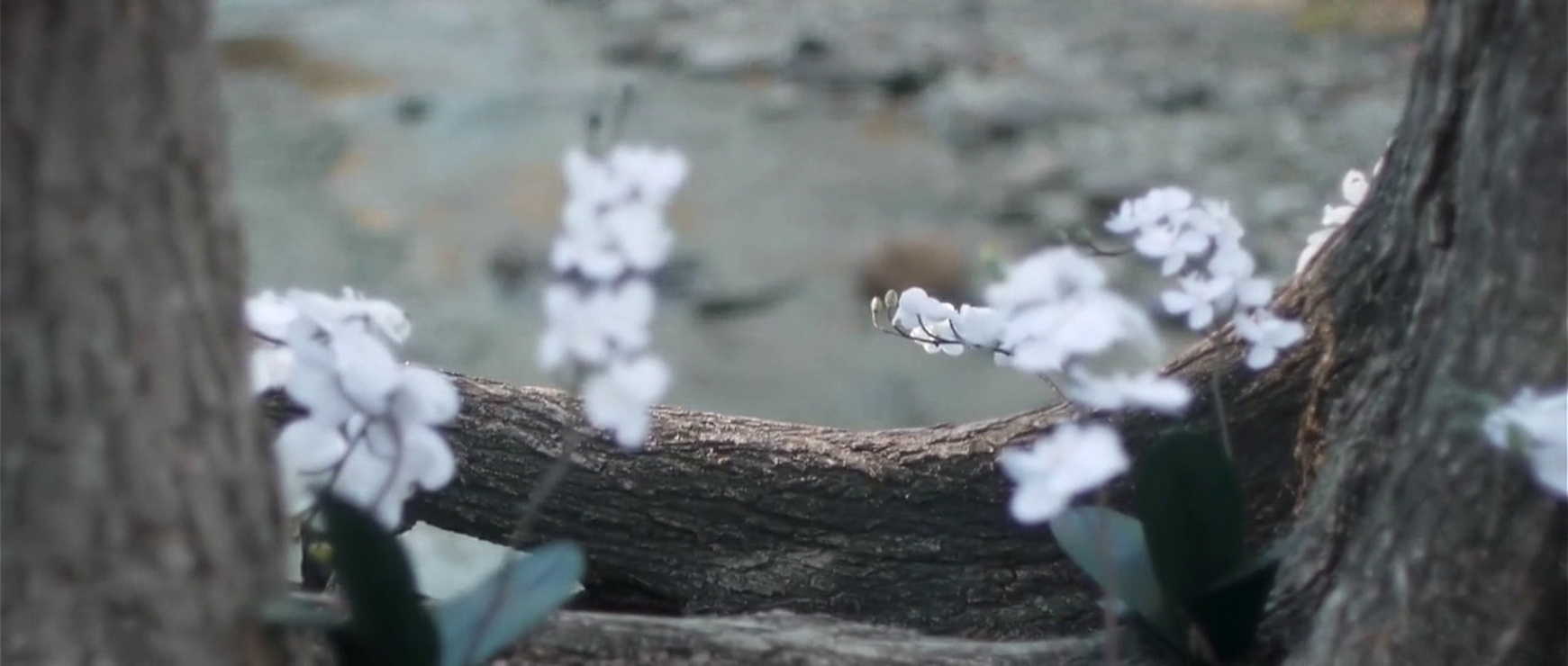 Upstream Color image