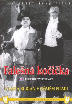 falesna kocicka