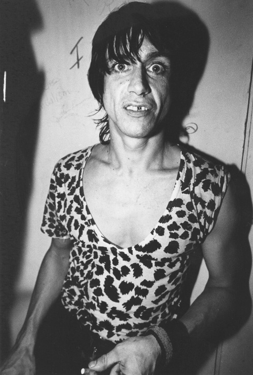 Picture of Iggy Pop