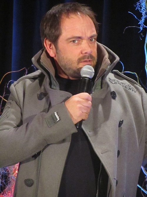 Picture of Mark Sheppard