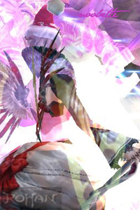 Picture of Rohan Online