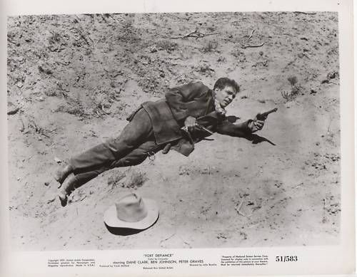 Picture of Fort Defiance