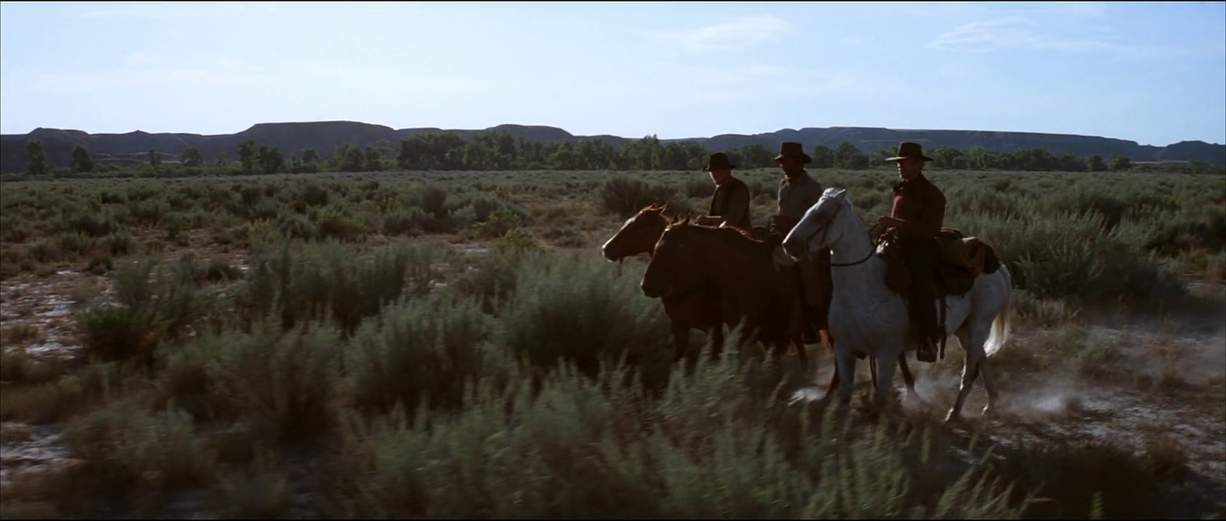 Picture of Unforgiven