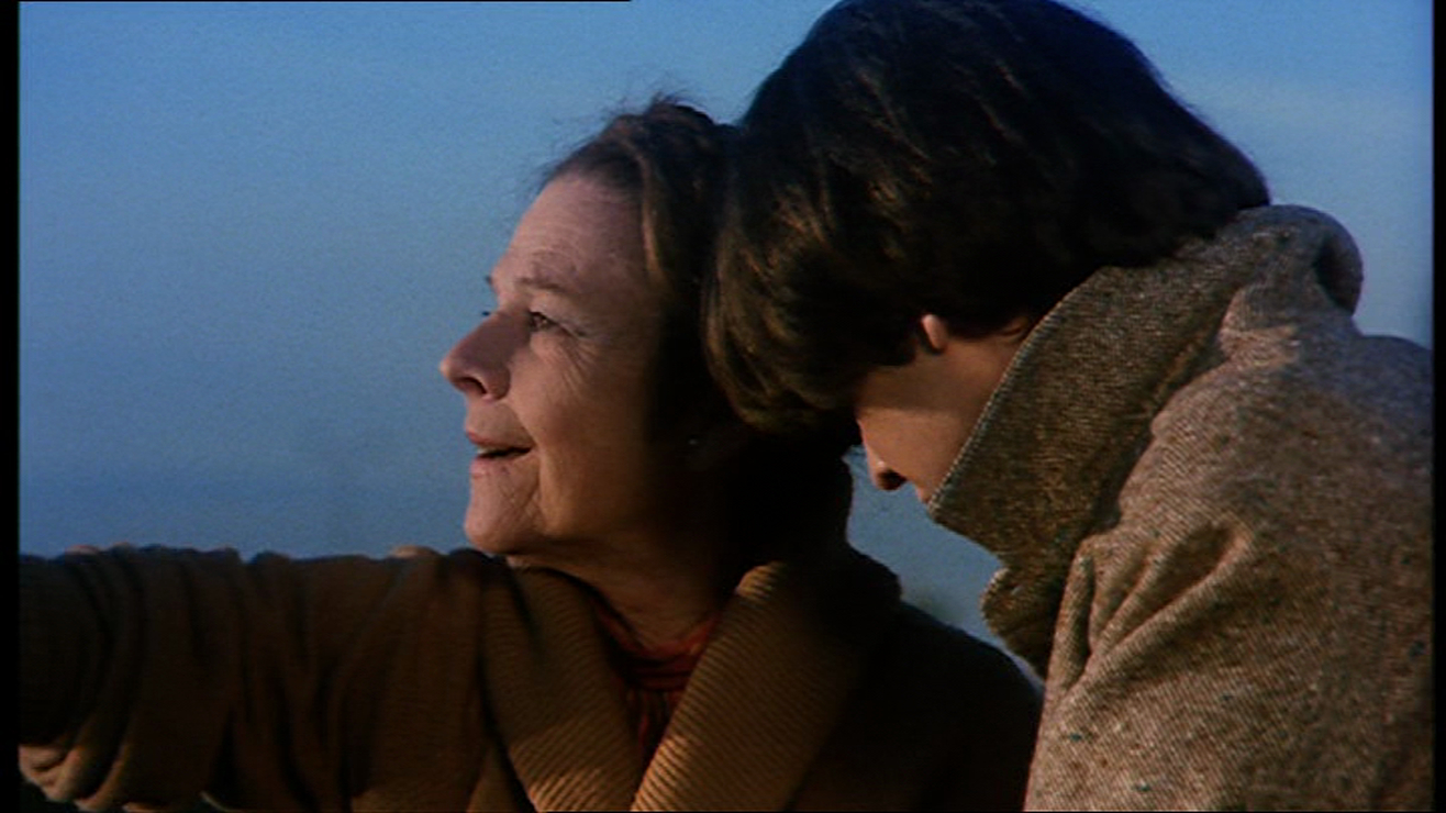 Picture of Harold and Maude (1971)