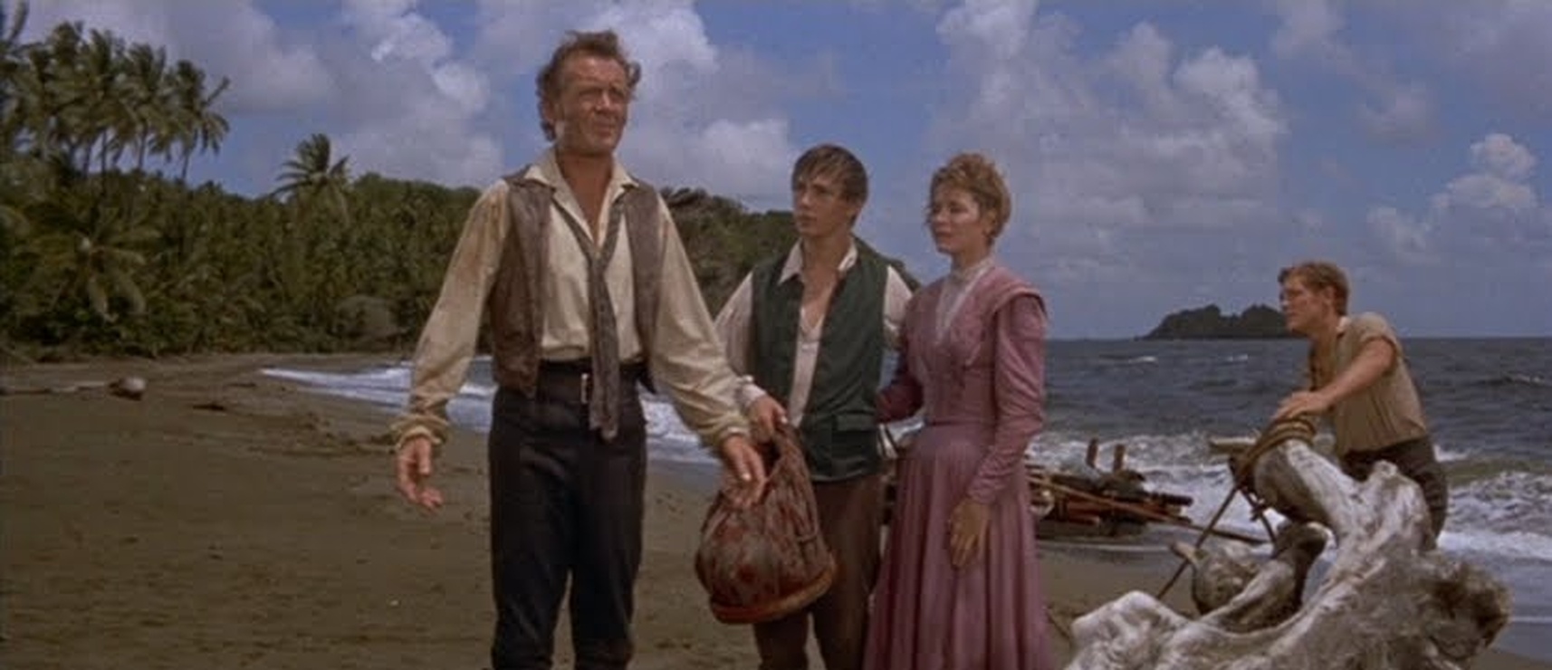 Picture of Swiss Family Robinson