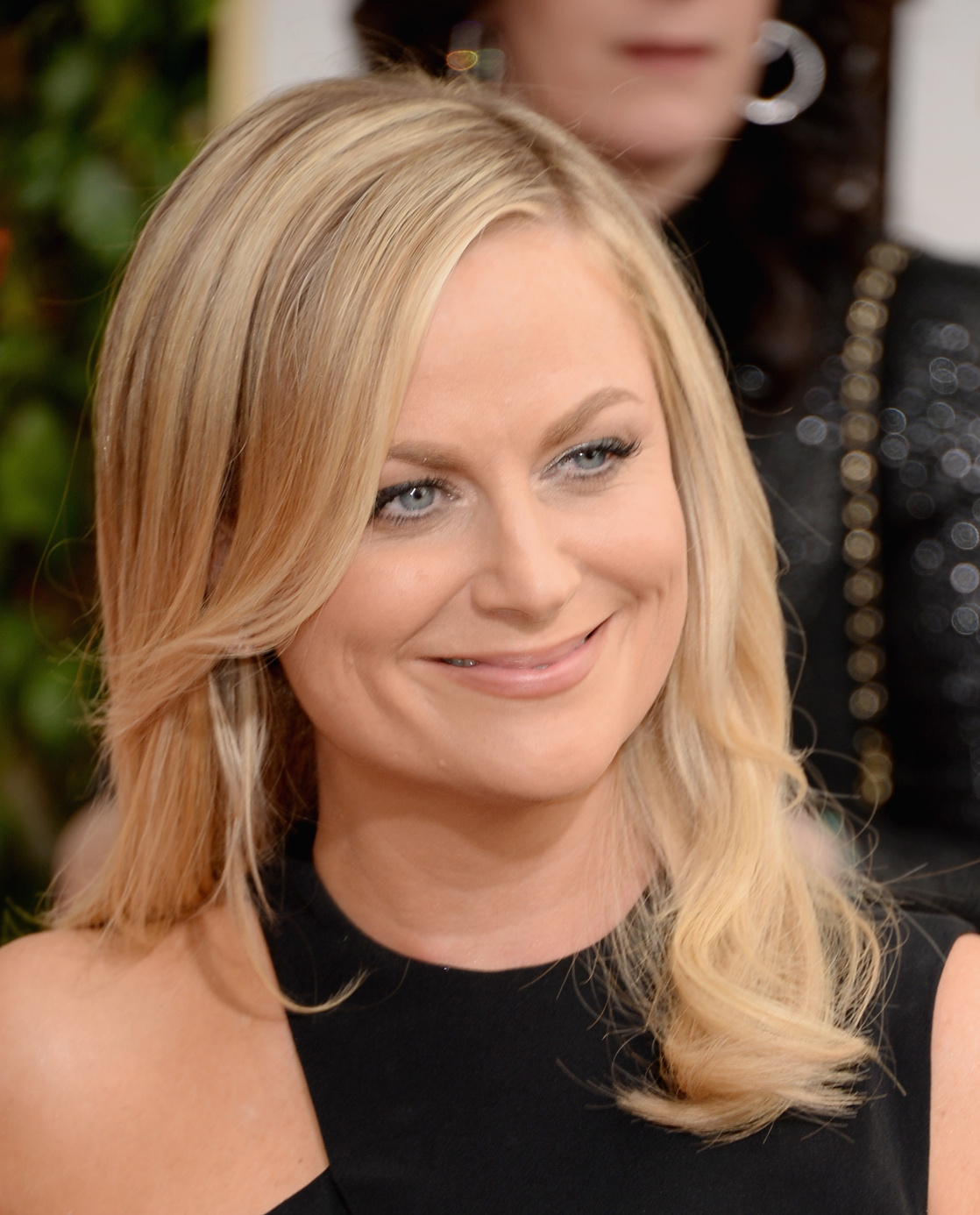 Picture of Amy Poehler