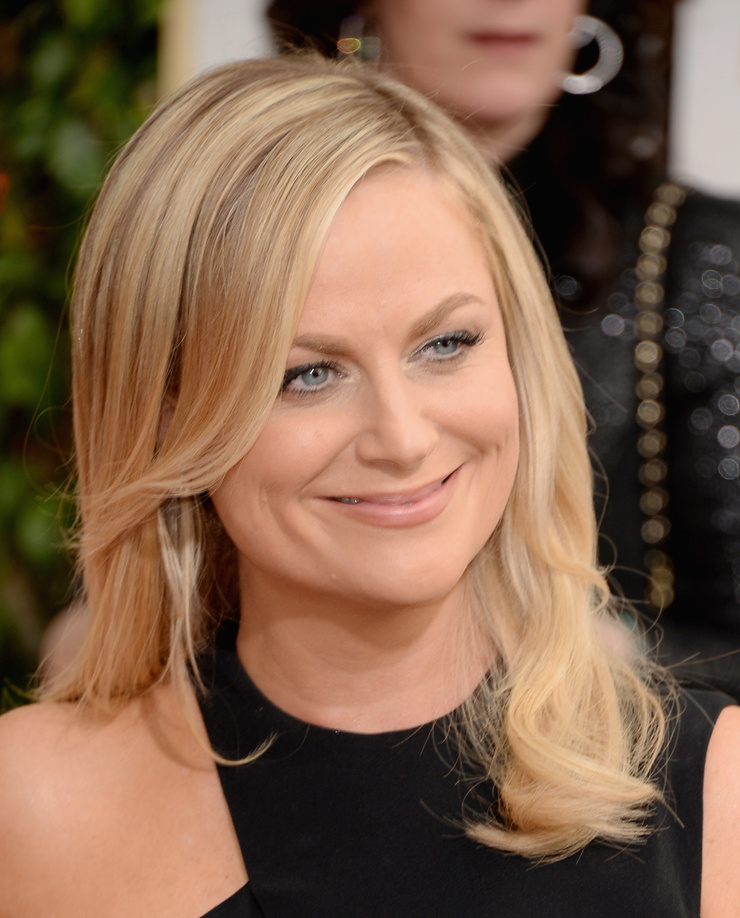 Picture of Amy Poehler