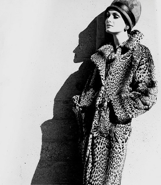 Picture of Deborah Dixon