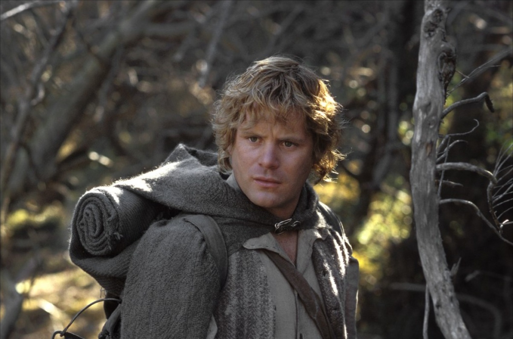 Picture of The Lord of the Rings: The Return of the King
