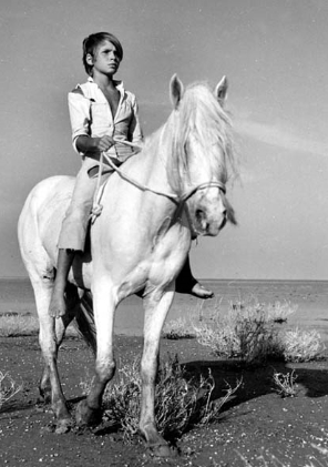Picture of White Mane (1953)
