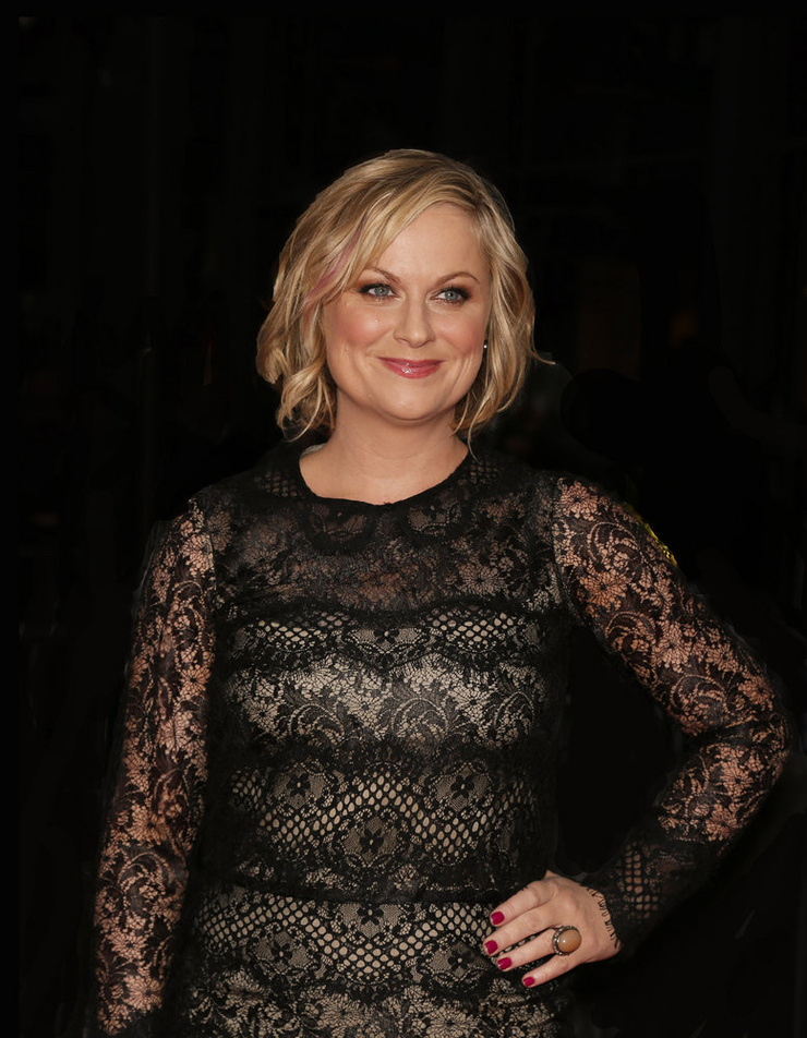 Image of Amy Poehler