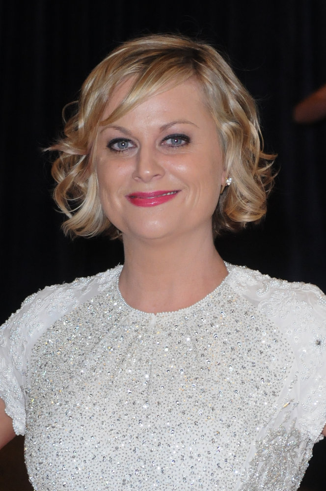 Picture of Amy Poehler