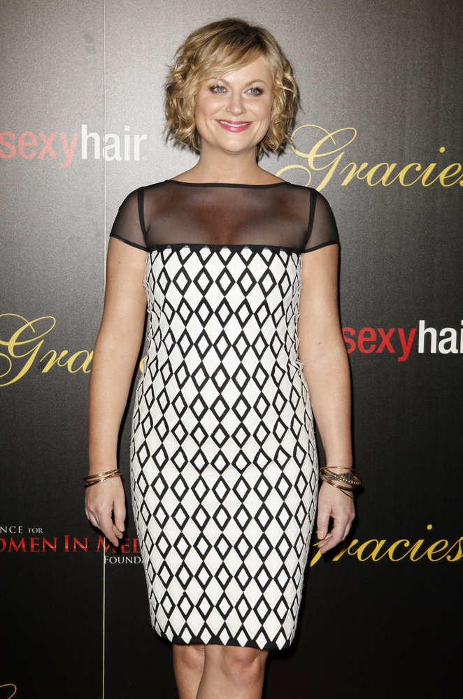 Picture of Amy Poehler