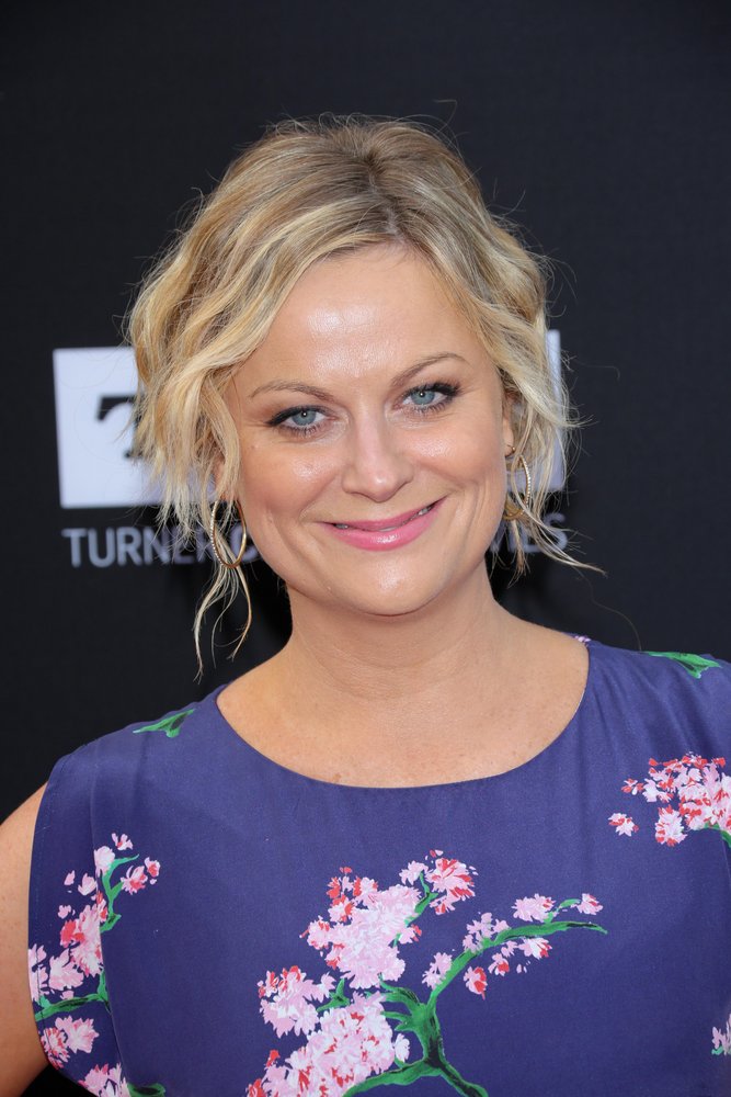 Picture of Amy Poehler