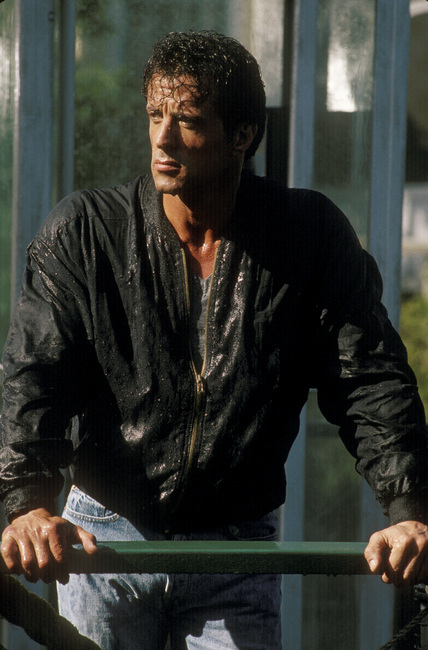 Picture of Sylvester Stallone