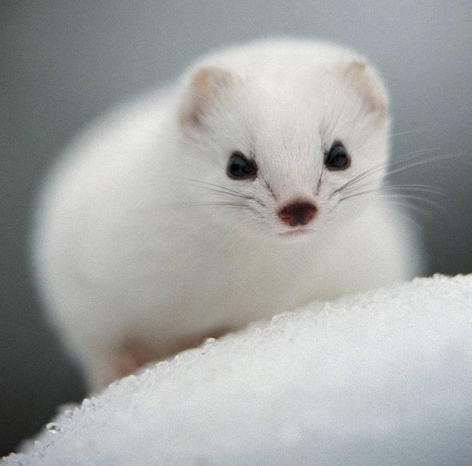 Listal - List the stuff you love! Movies, TV, music, games and books